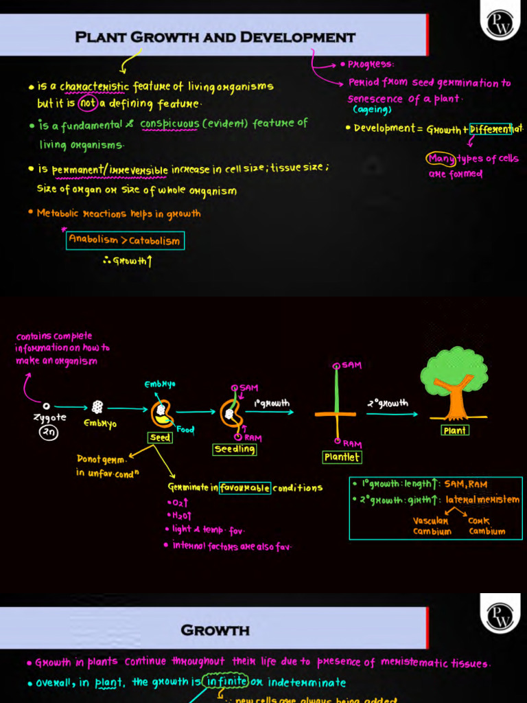 Plant Growth | PDF