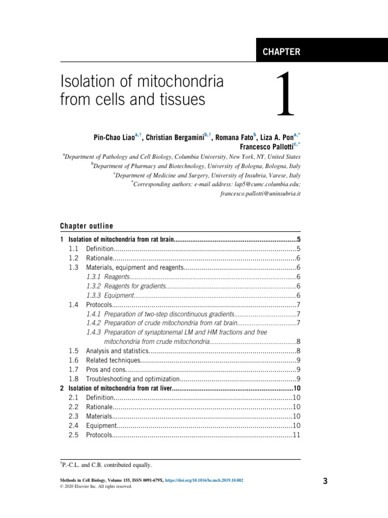 Mitochondrial Isolation Techniques | PDF | Mitochondrion | Centrifugation