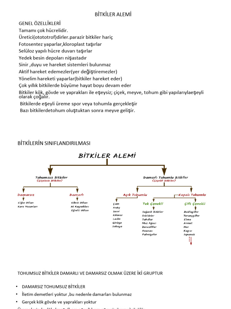Bi̇tki̇ler Alemi̇ | PDF