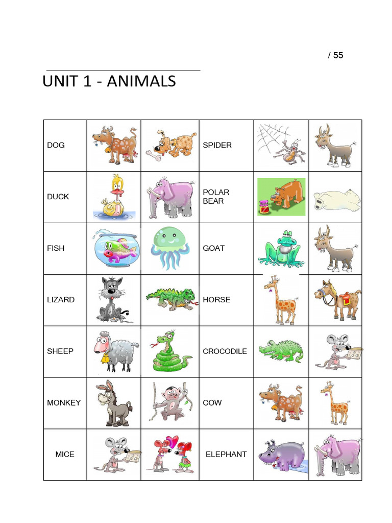 English Unit for III | PDF
