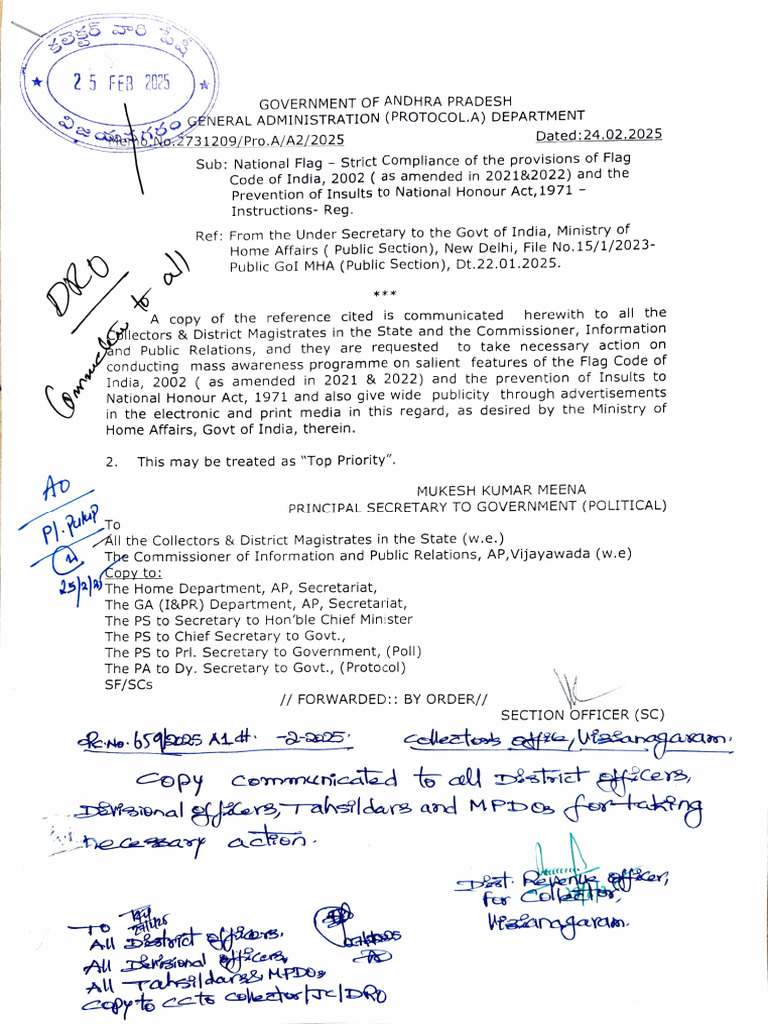 National Flag Instructions | PDF | Flag | Government