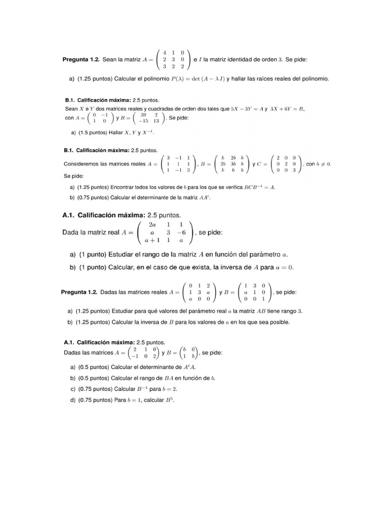 Ejercicios Matrices 1 | PDF