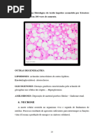 Tipos de Necrose e Suas Características | PDF | Necrose | Biologia