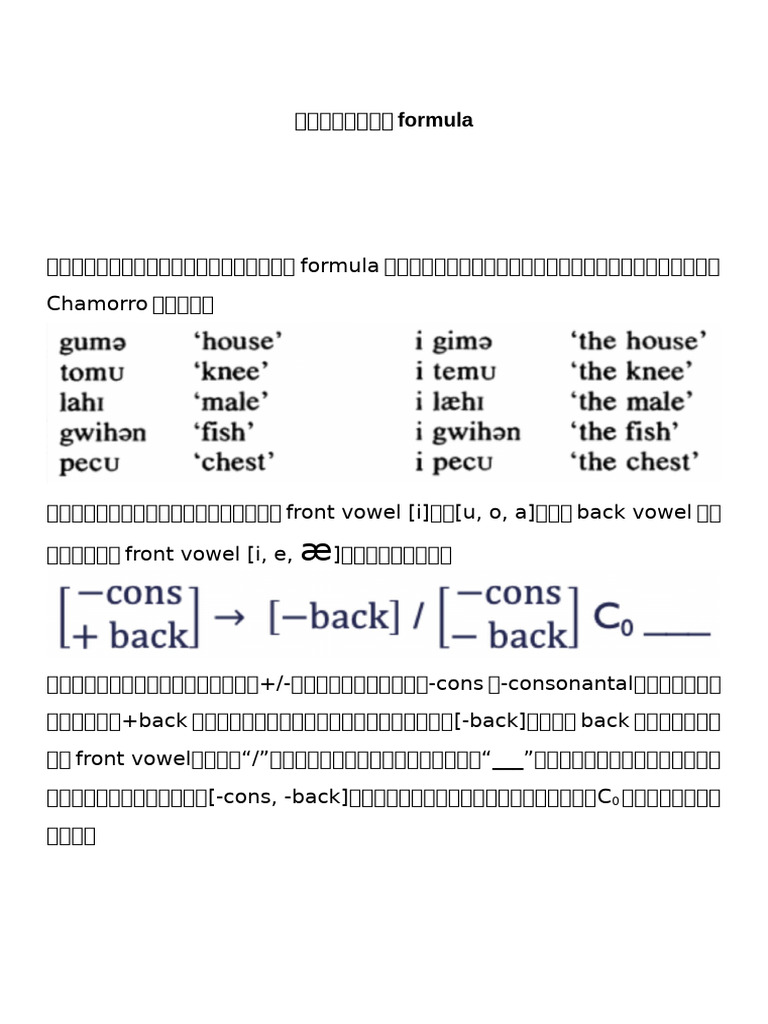 总结音系规则时的formula | PDF