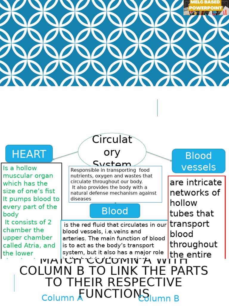 g6 q2 Week 1-3 Circulatory System Quiz | PDF