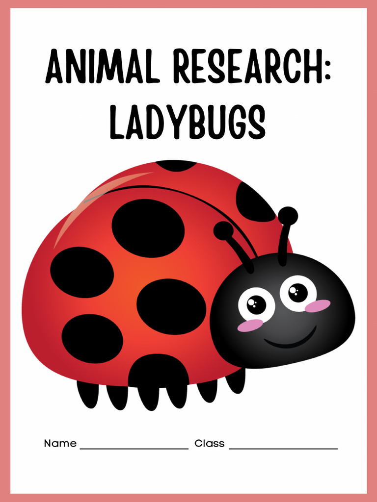 Ladybugs Biology Graphic Organizer Science Research Project in ...