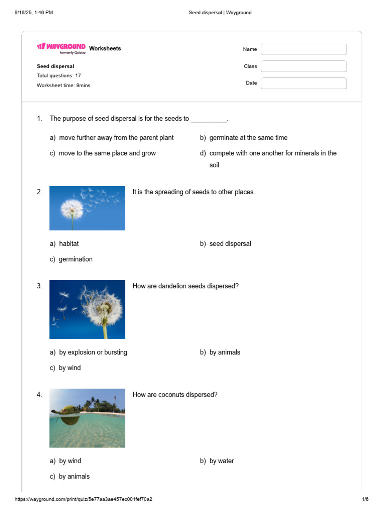 Seed Dispersal Quiz Worksheet | PDF | Seed | Fruit