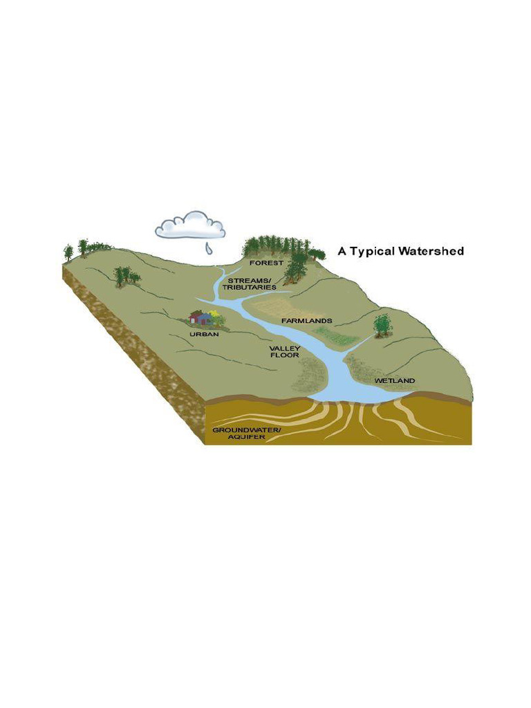 Understanding Watershed Management Basics | PDF | Drainage Basin ...