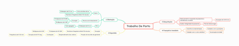 Mapa Mental - 202491 - 184444 | PDF | Obstetrícia | Saúde pública