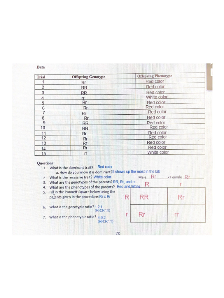 Lab Exercise #6.1 Simulating A Monohybrid Cross | PDF