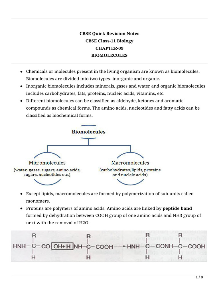 Chapter 9 - Biomolecules | PDF | Biomolecules | Enzyme