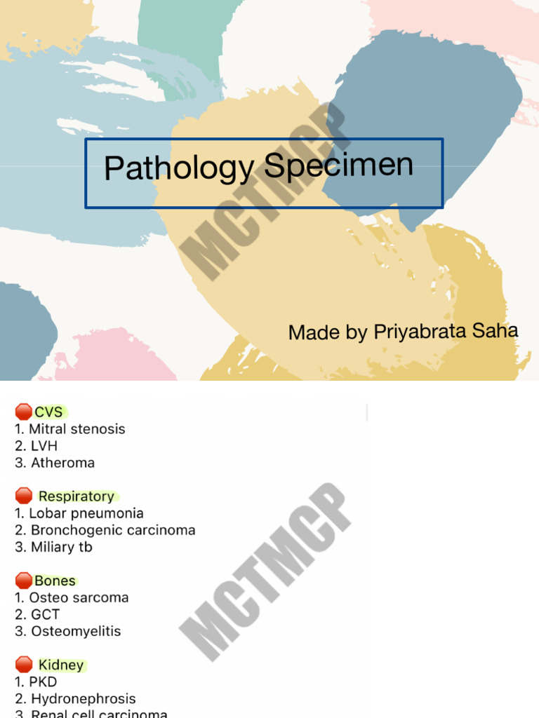 Pathology Specimen | PDF