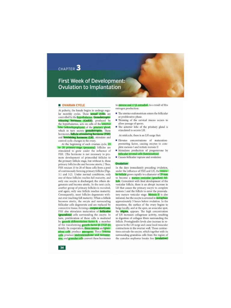 NGMBe Document Overview | PDF