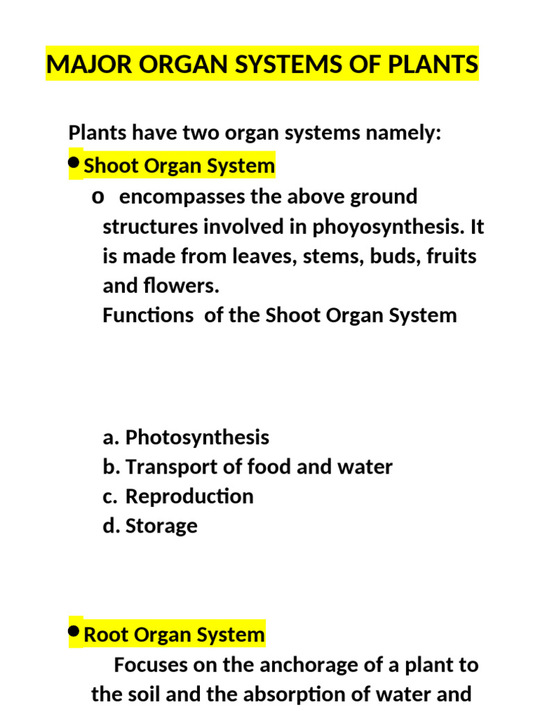 Major Organ Systems of Plants | PDF