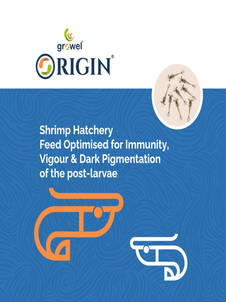 Origin 2 | PDF