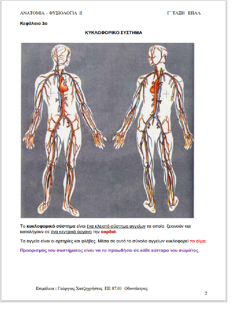 Κεφάλαιο 3ο ΚΥΚΛΟΦΟΡΙΚΟ ΣΥΣΤΗΜΑ | PDF