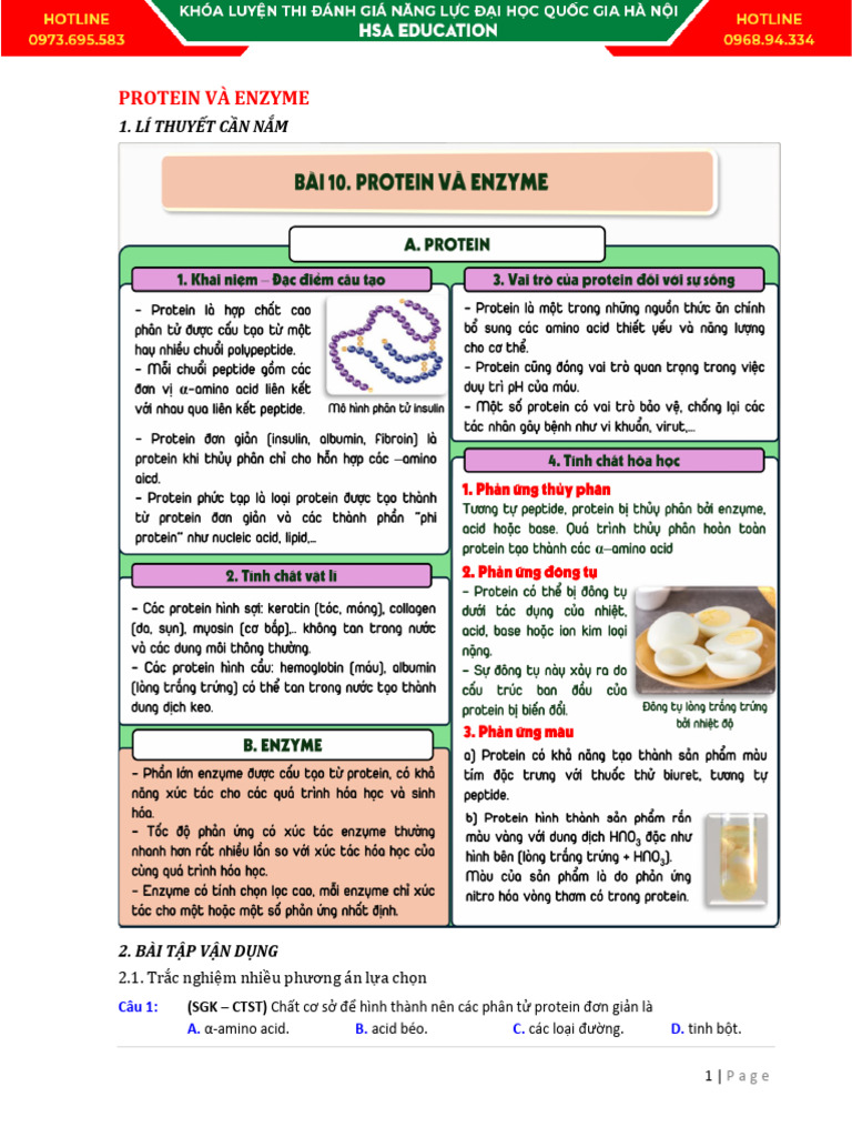HÓA HỌC HSA B08 Protein Enzyme | PDF
