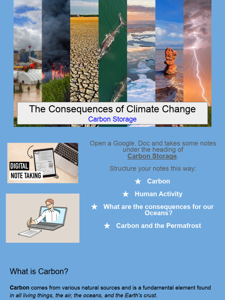 Understanding Carbon Storage | PDF | Climate Change | Carbon Sink