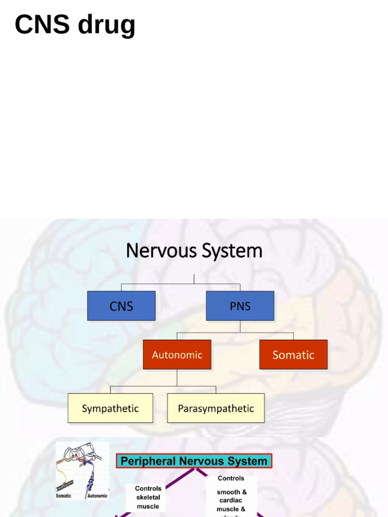 SNRIs and Alzheimer's Drug Mechanisms | PDF
