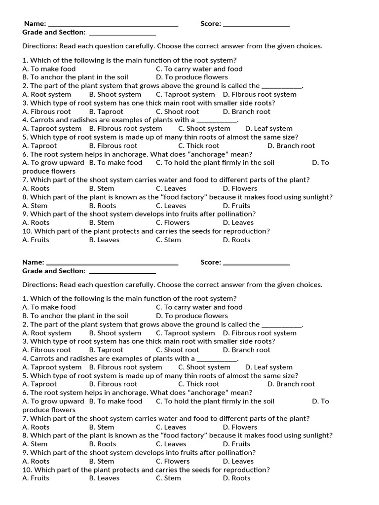 Grade4 Science Quiz PlantSystem | PDF | Root | Flowers