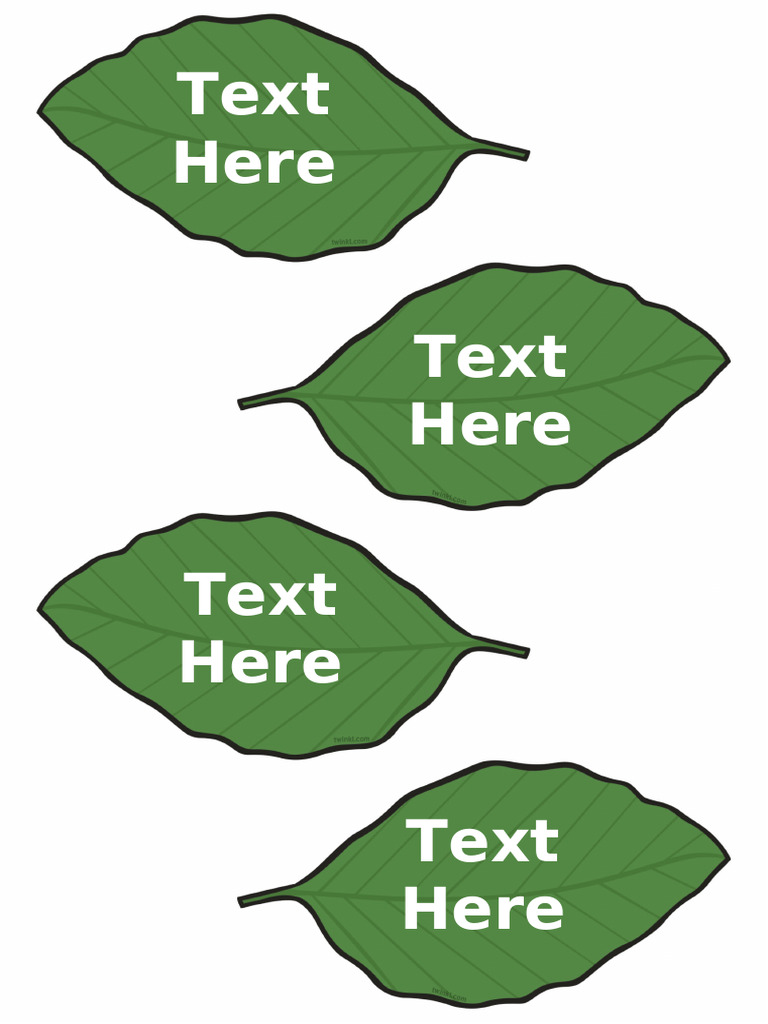 Leaves | PDF