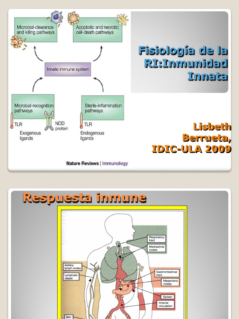 Inmunidad Innata | PDF | Receptor de peaje | Sistema inmune innato