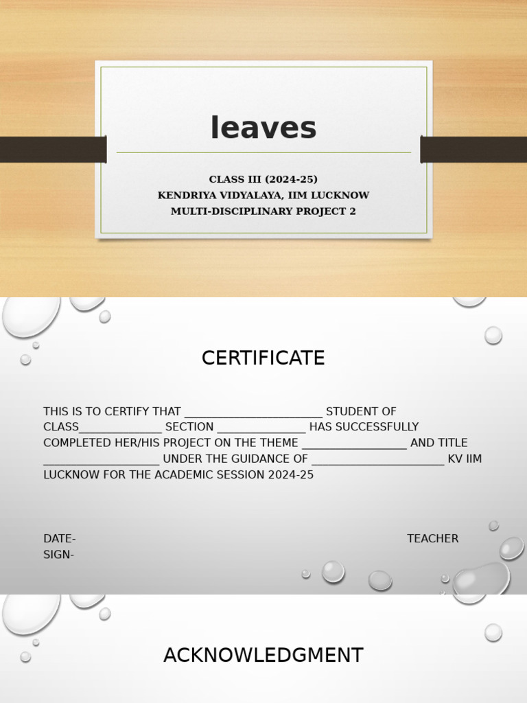 Class III - MDP 2 (24-25) | PDF