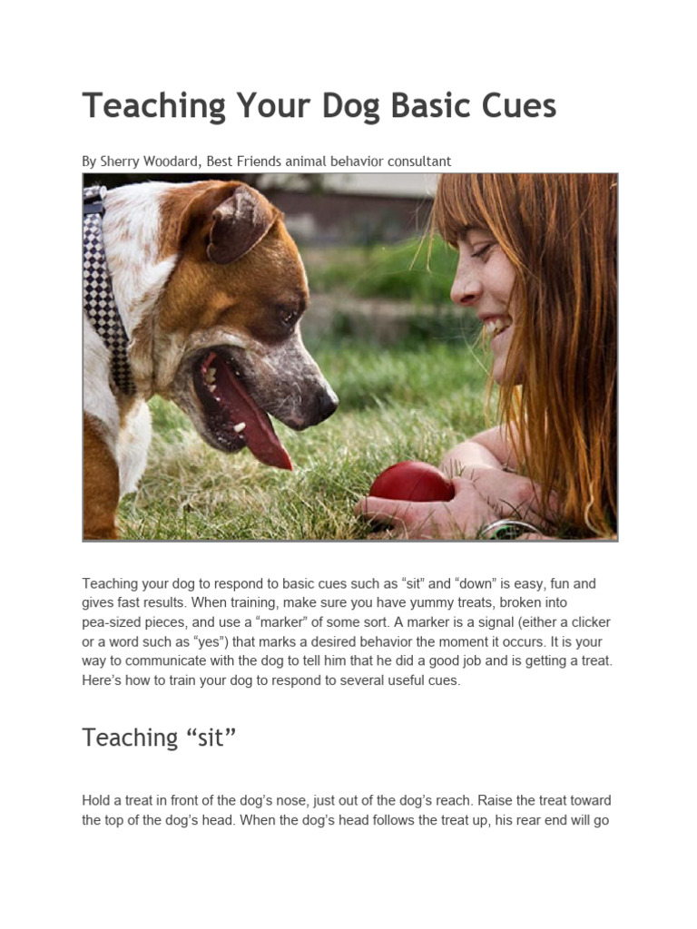 Teaching Your Dog Basic Cues | PDF | Dogs