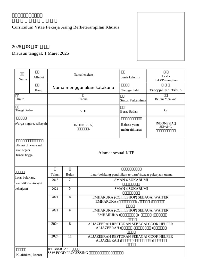 Template CV | PDF