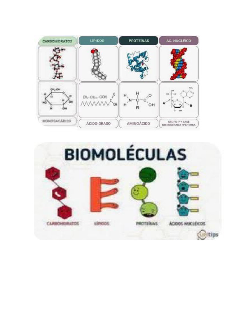 1234 | PDF
