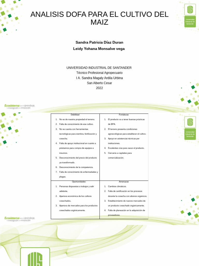 Exposicion Dofa | PDF