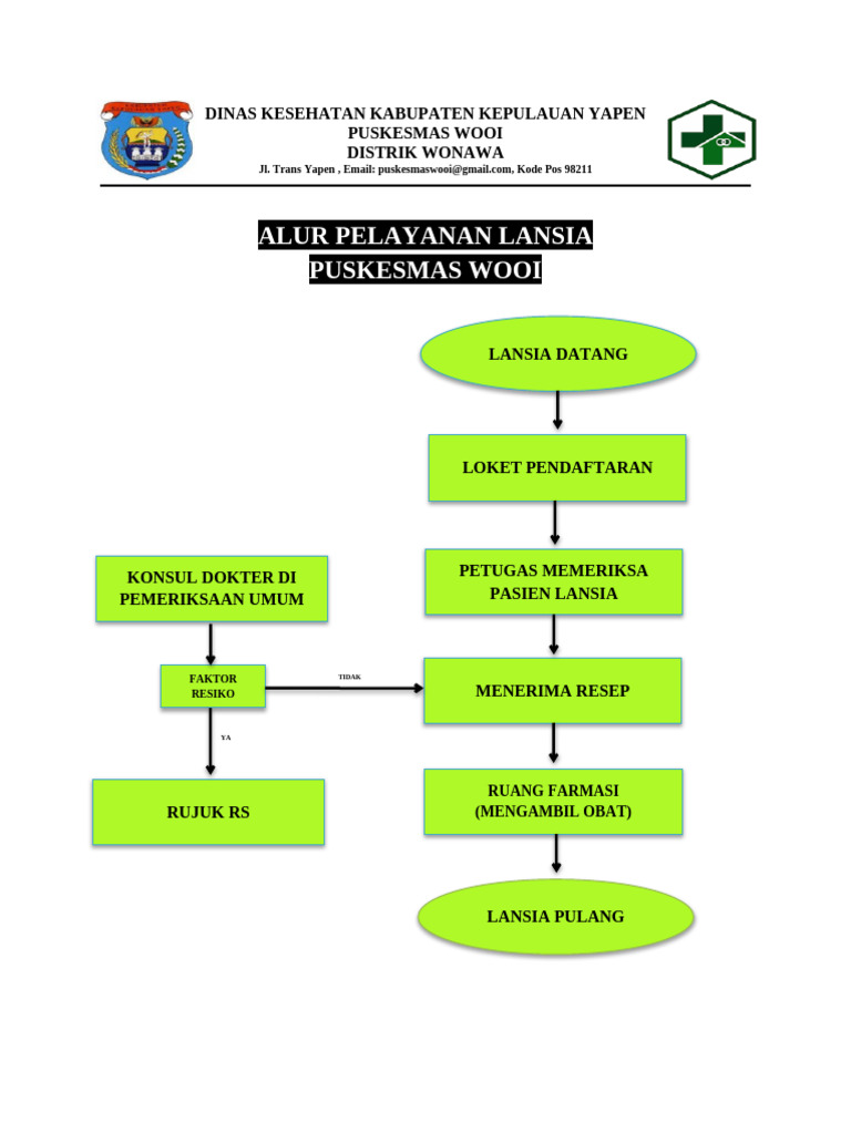 Alur Pelayanan Lansia | PDF