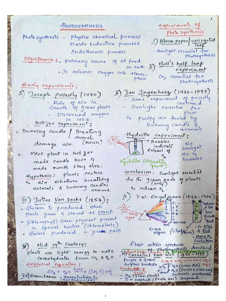 Photosynthesis Handwritten Notes BVP | PDF