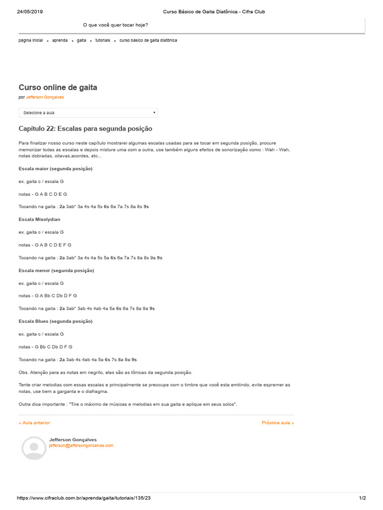 Curso Básico de Gaita Diatônica | PDF | Gaita de Boca | Musicologia
