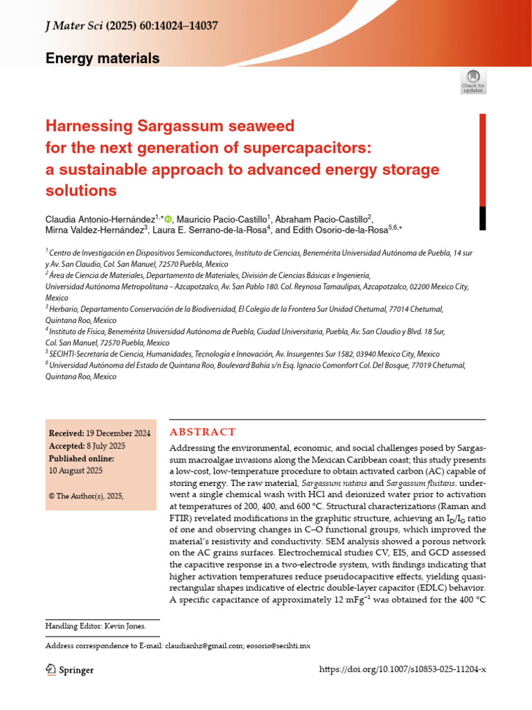 Harnessing Sargassum Seaweed For The Next Generation of Supercapacitors: A Sustainable Approach ...