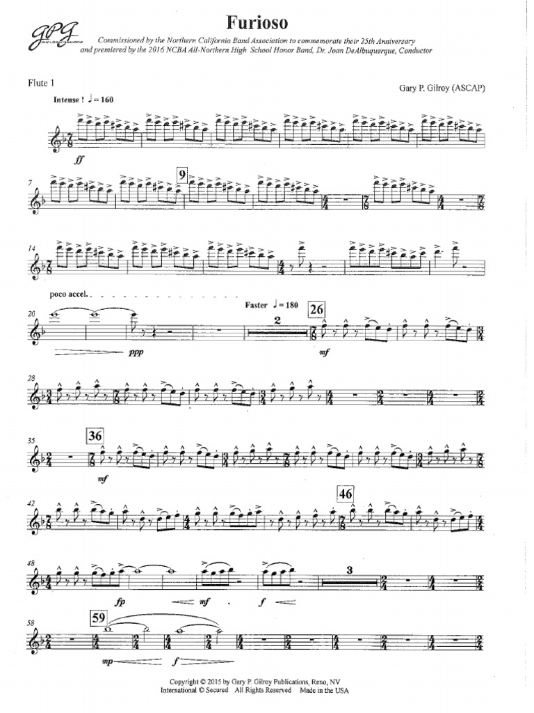 Furioso Parts | PDF