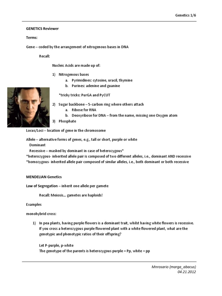Genetics Reviewer Pdf Pdf Dominance Genetics Zygosity