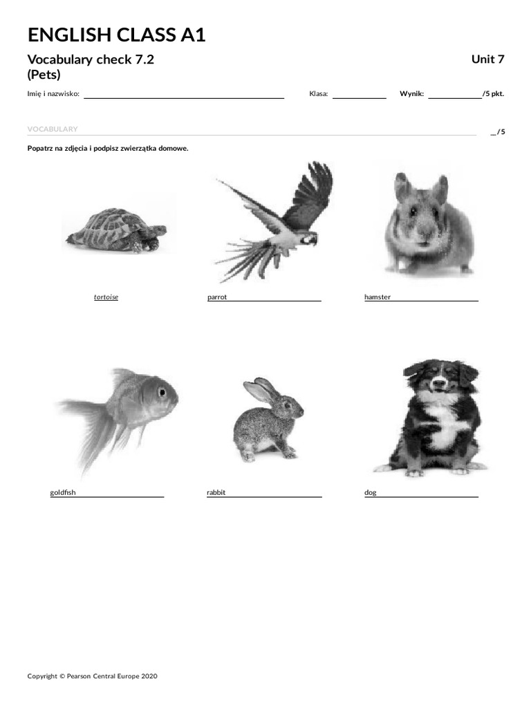 Unit 7 Vocabulary Check 72 Pets V1 Key | PDF