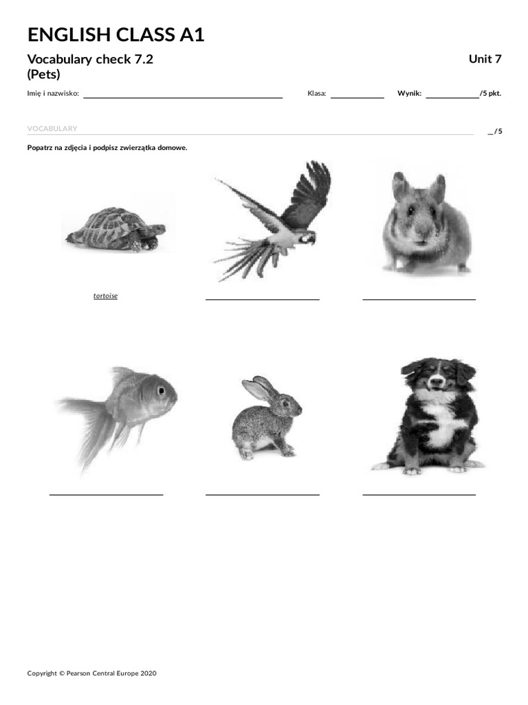 Unit 7 Vocabulary Check 72 Pets V2 | PDF