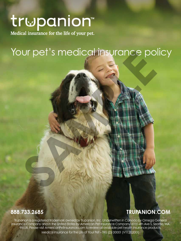 2020 Policy English CALI SAMPLE | PDF | Deductible | Insurance