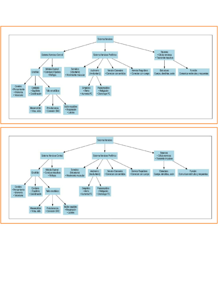 Esquema Resumen | PDF