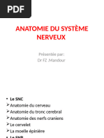 Rôle et anatomie du centre ovale cérébral | PDF | Cerveau | Cortex cérébral