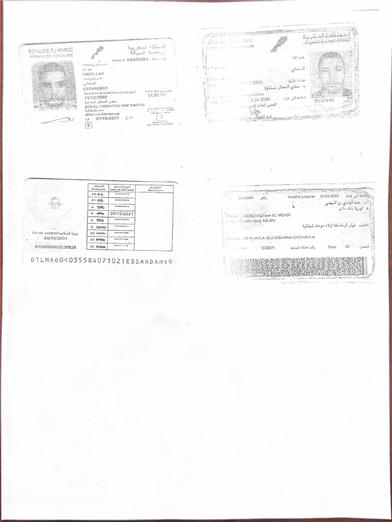 RF Essaadany | PDF