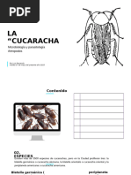Ácaros del polvo: Dermatophagoides y Euroglyphus | PDF | Alergia