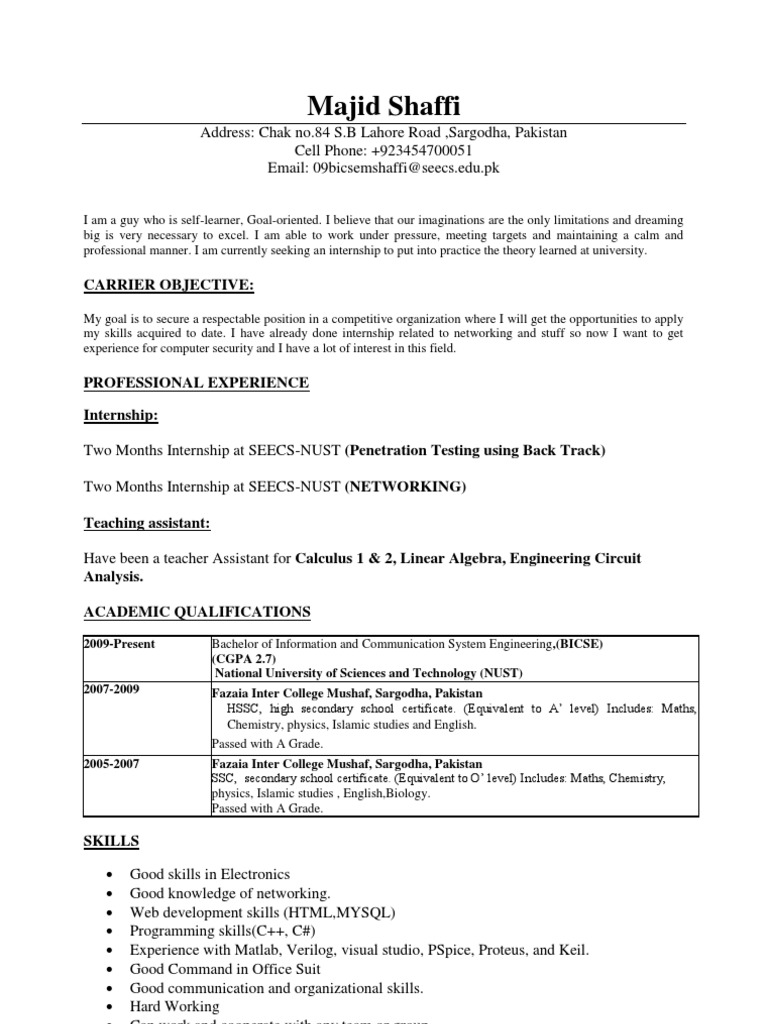 Majid CV | PDF