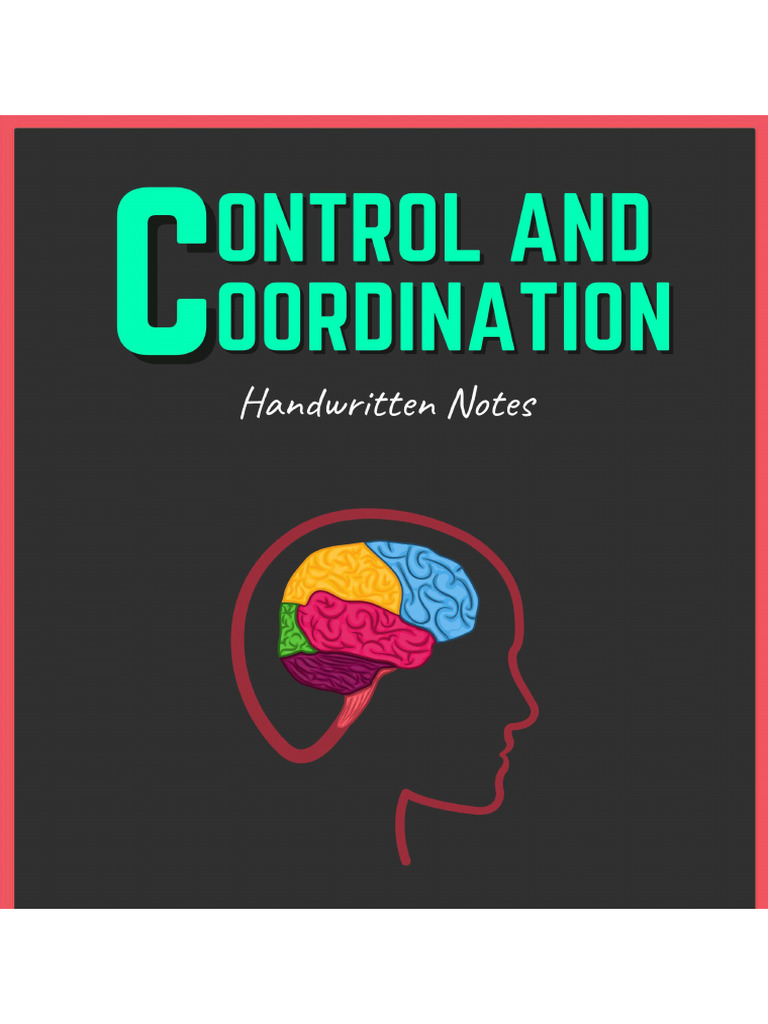 Control and Coordination | PDF