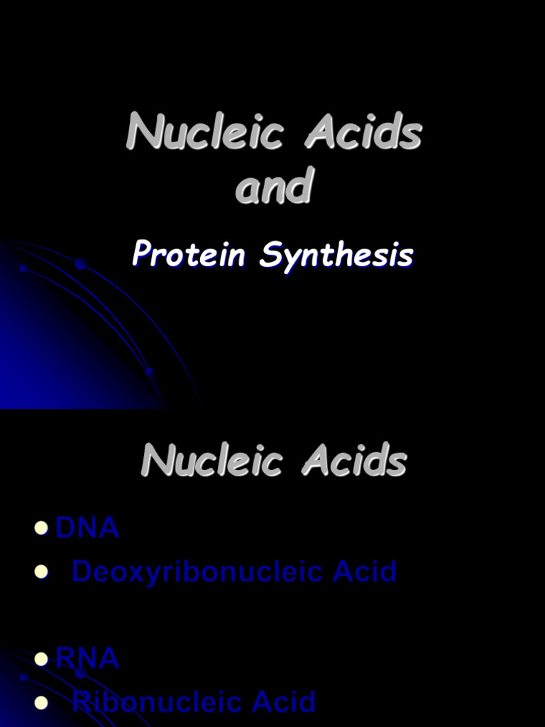 8.2 - 1 Nucleic Acids and Protein Synthesis | PDF | Translation ...