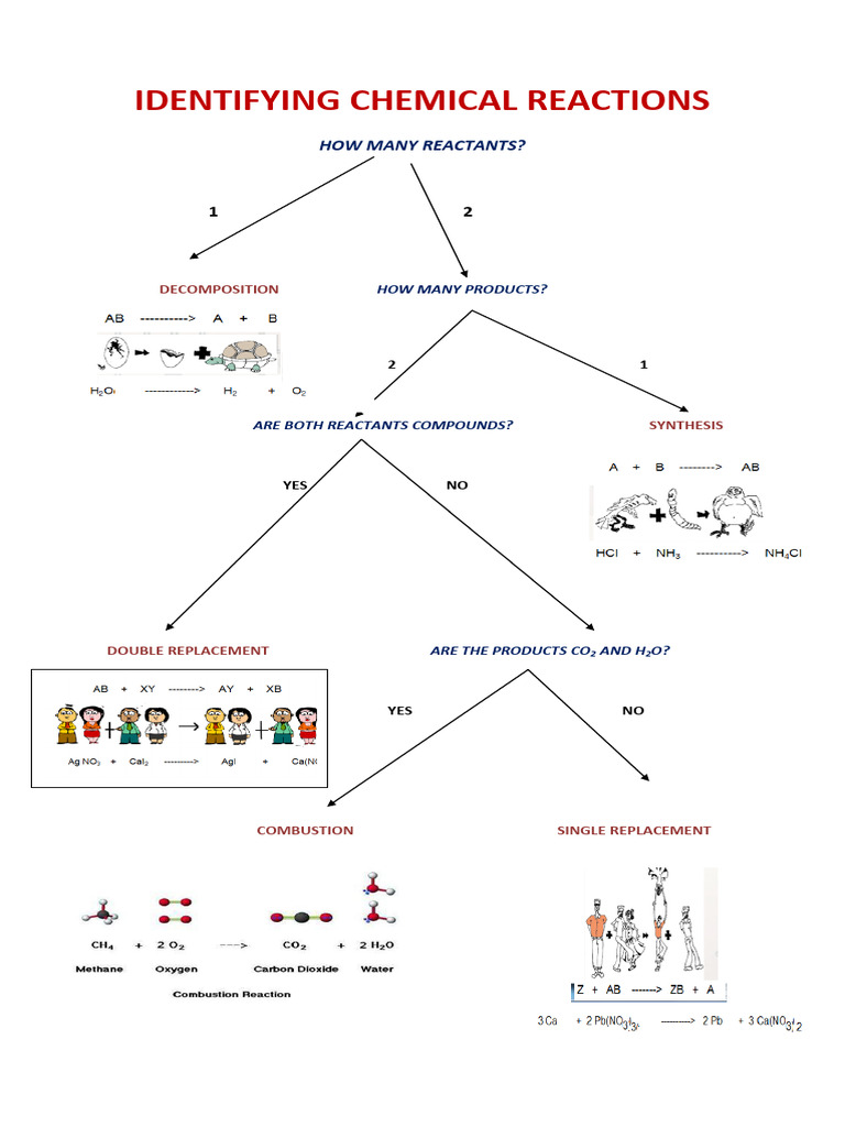 Identifying Chemical Reactions Summary | PDF