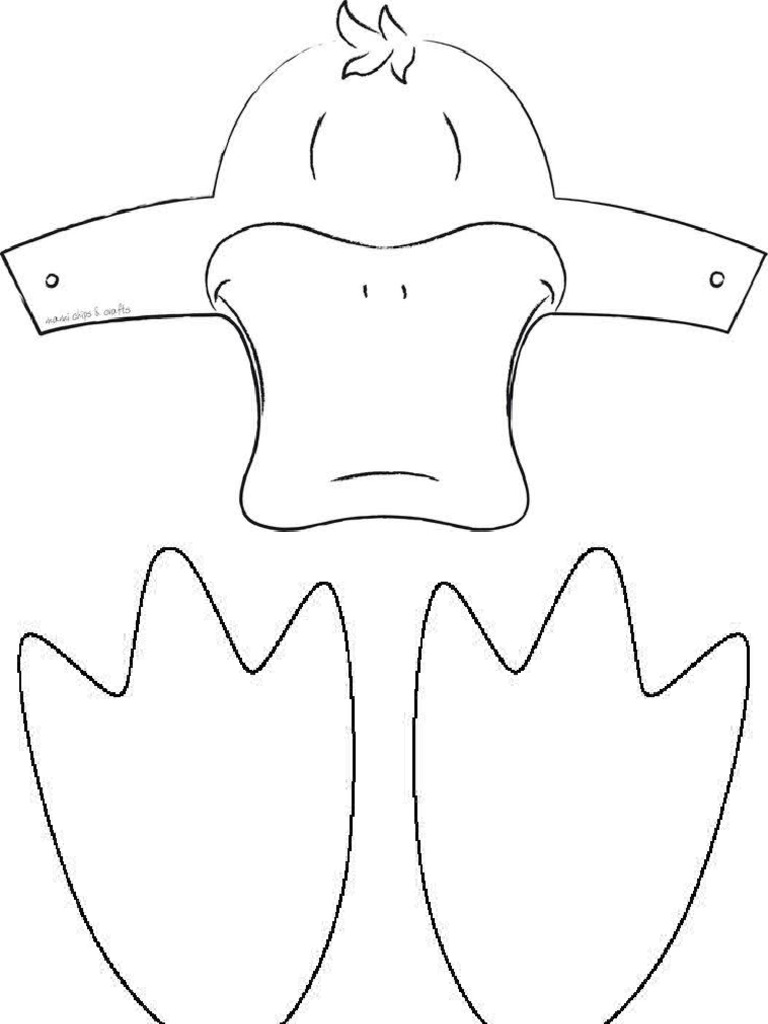 Moldes Cisne | PDF