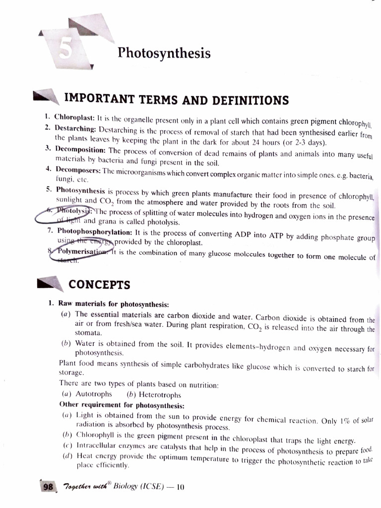 Photosynthesis 1 | PDF